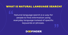 What is Natural Language Search? (+ Examples)