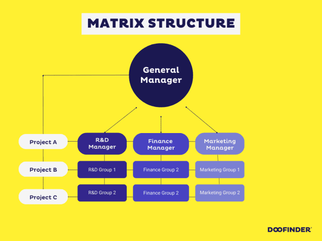 11 Types of Organizational Structures (+ Examples)