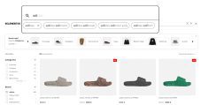 What is Predictive Search? (with examples)